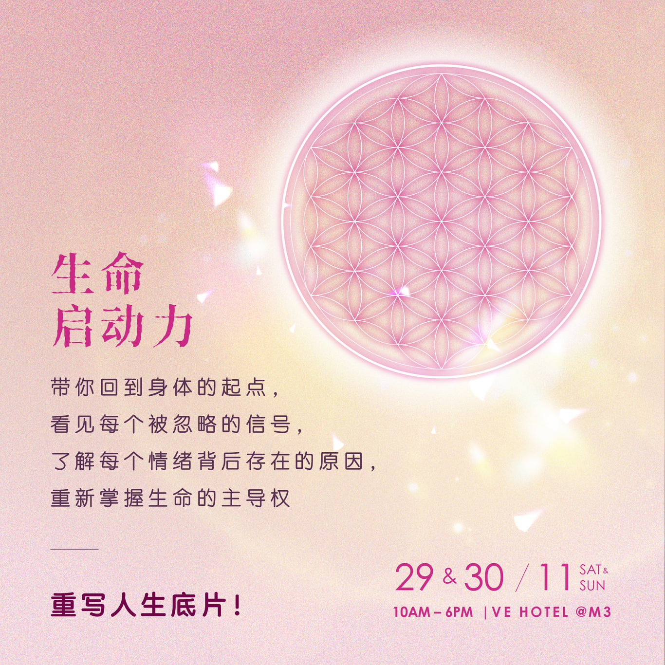 OneNess Offline Courses – OneNess Concept Sdn Bhd